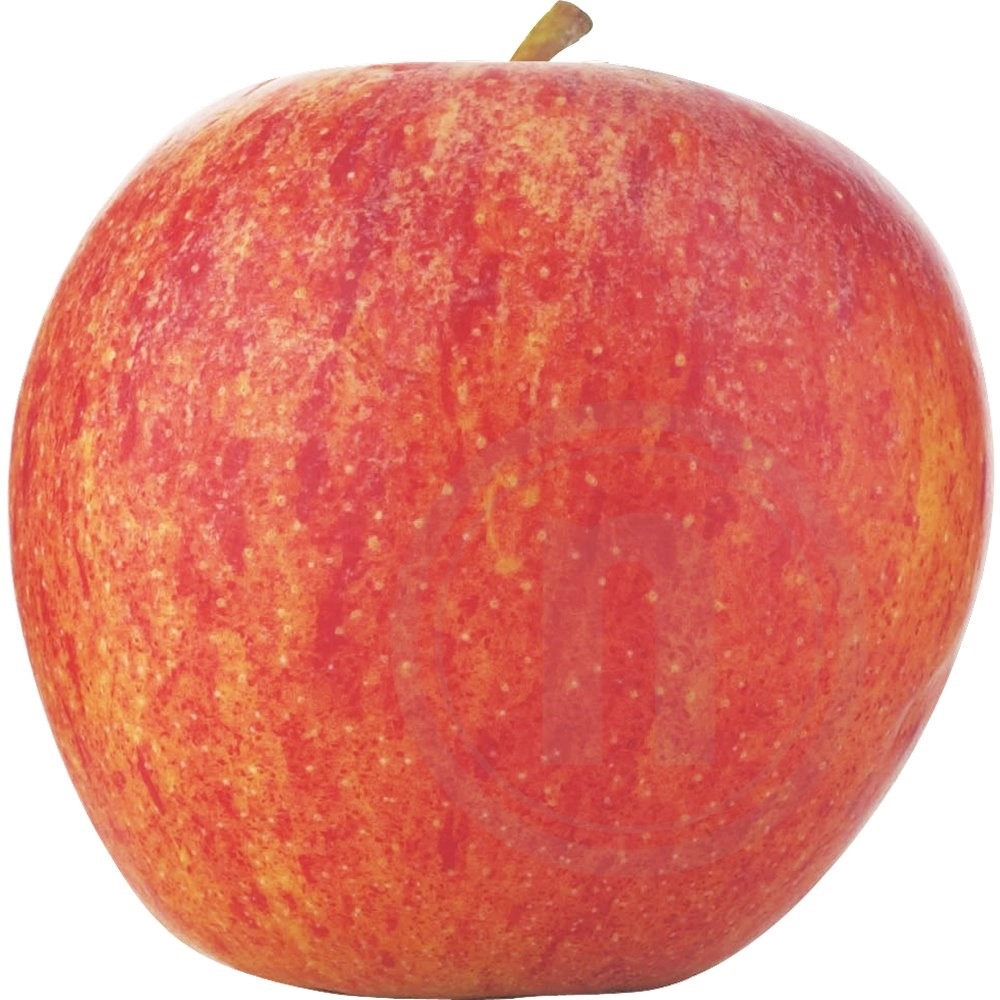 Æble Royal Gala – Leveret med nemlig.com