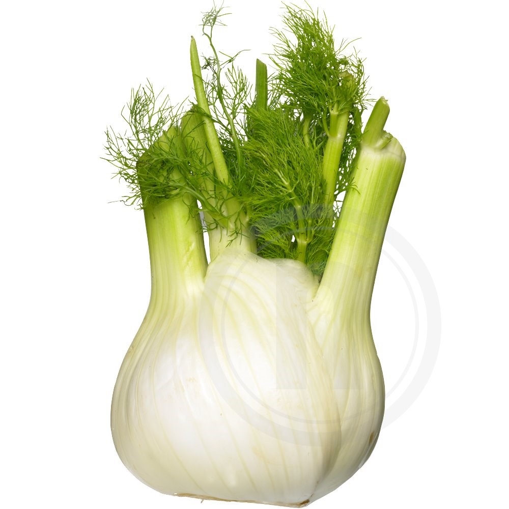 Fennikel øko. – Leveret med nemlig.com