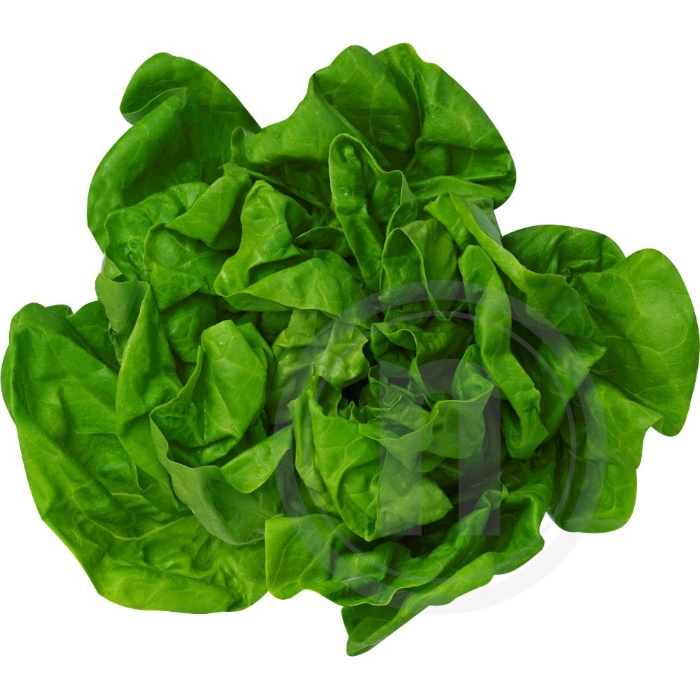 Hovedsalat – Leveret med nemlig.com