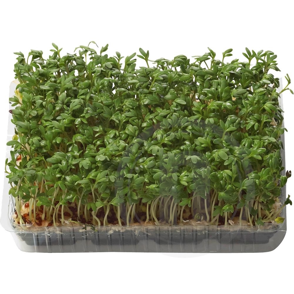 Karse øko. – Leveret med nemlig.com