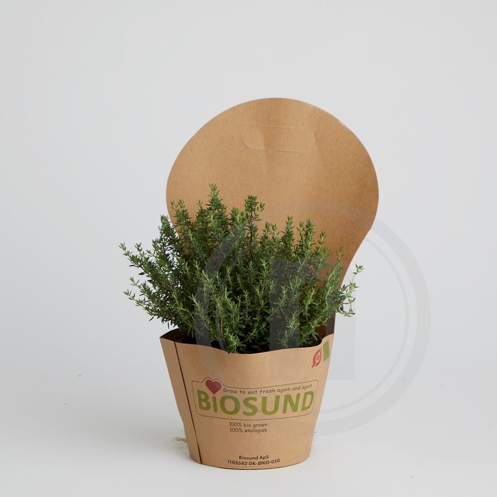Økologisk Timian fra Biosund – Leveret med nemlig.com
