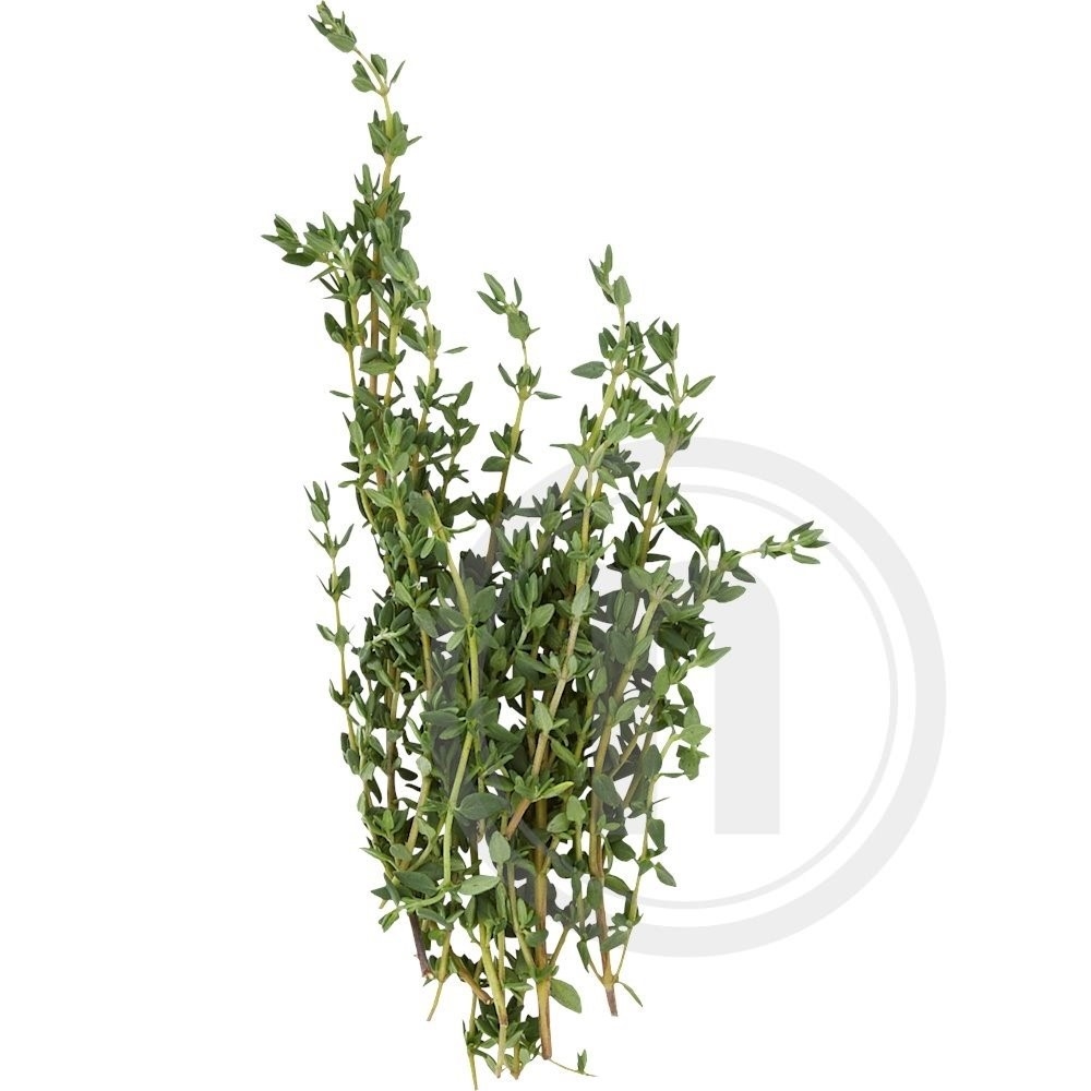 Timian, frisk – køb online hos nemlig.com